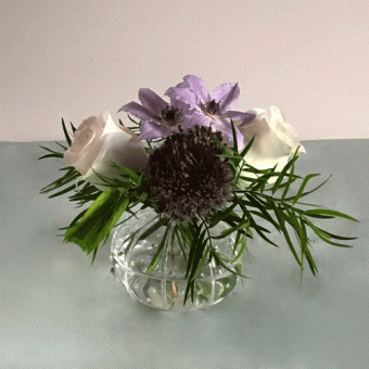 Speakers | Types | Canada Blooms