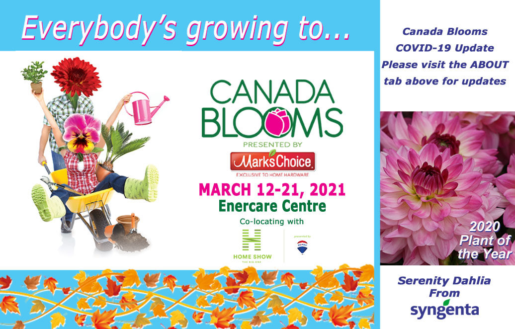 Canada Blooms | Canada's Largest Garden and Flower Festival